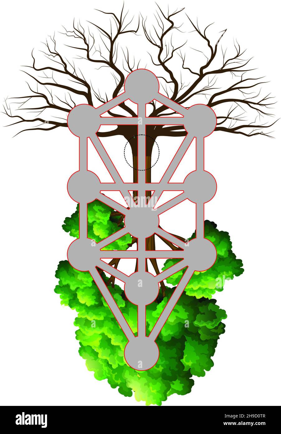 Arbre de vie kabbale Banque de photographies et d’images à haute ...