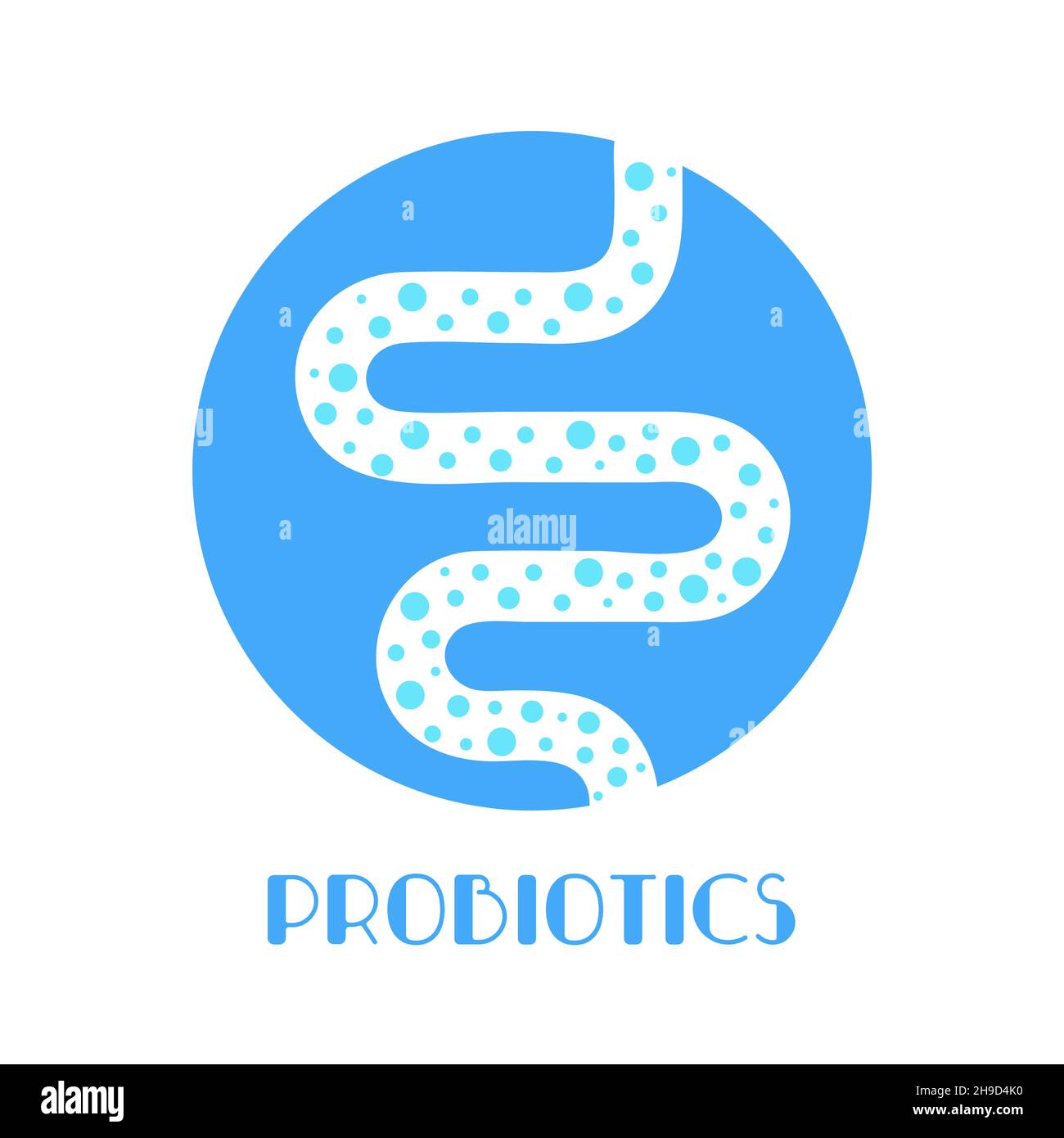 Bifidobacterium bacterias en el intestino humano Banque d'images ...