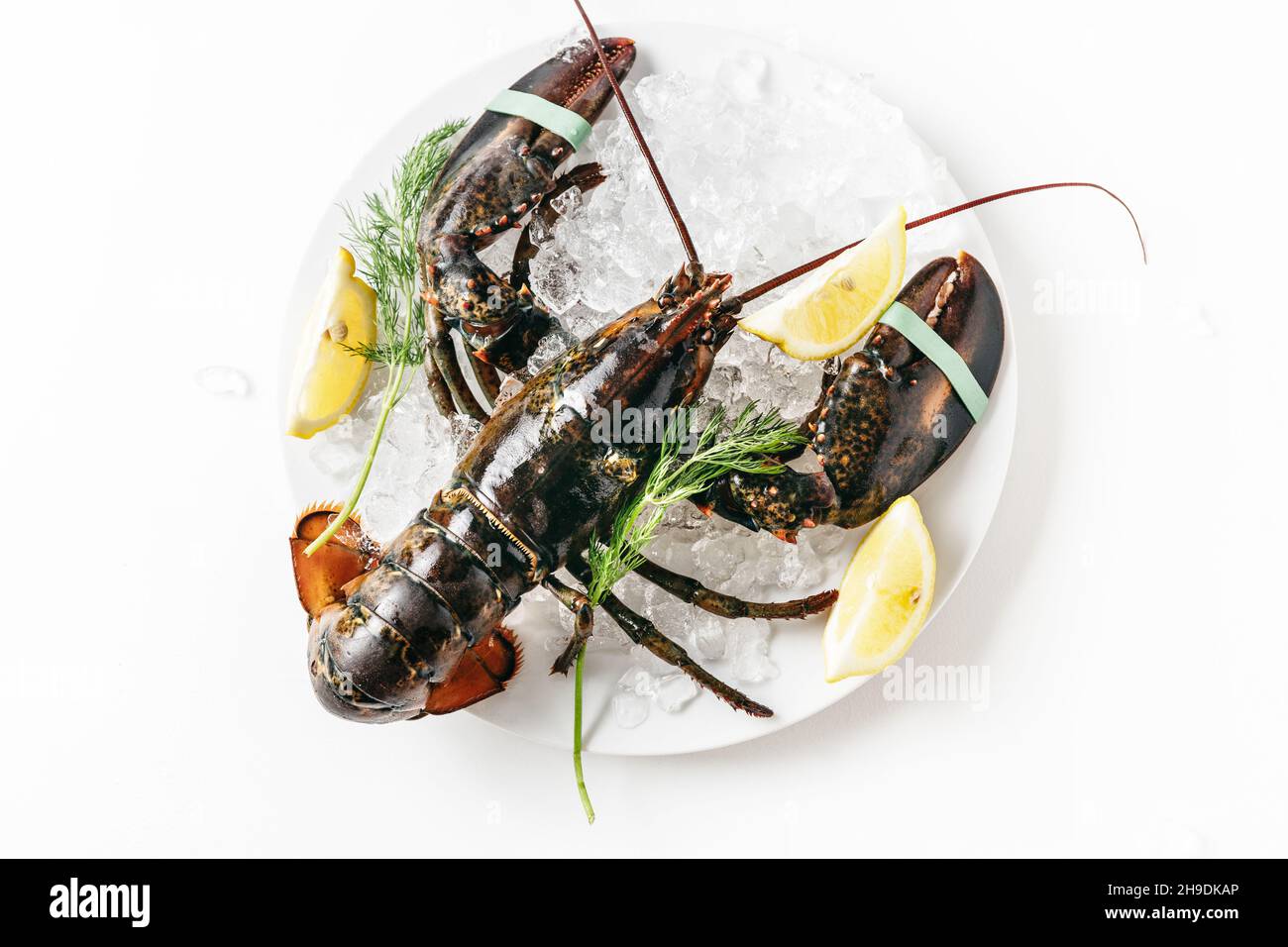 Homard frais Banque de photographies et d’images à haute résolution - Alamy