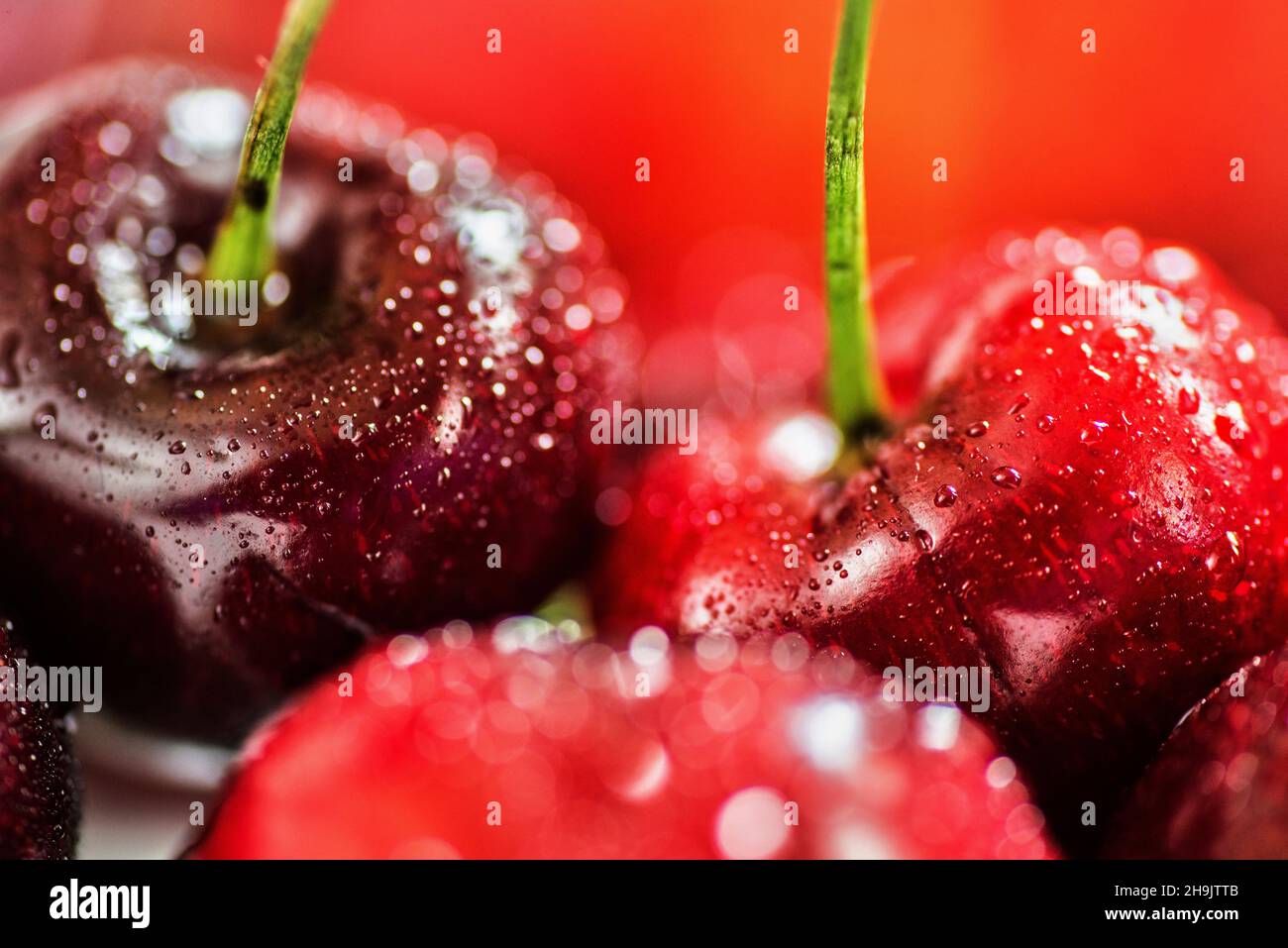 Cerisier fruit Banque de photographies et d’images à haute résolution ...