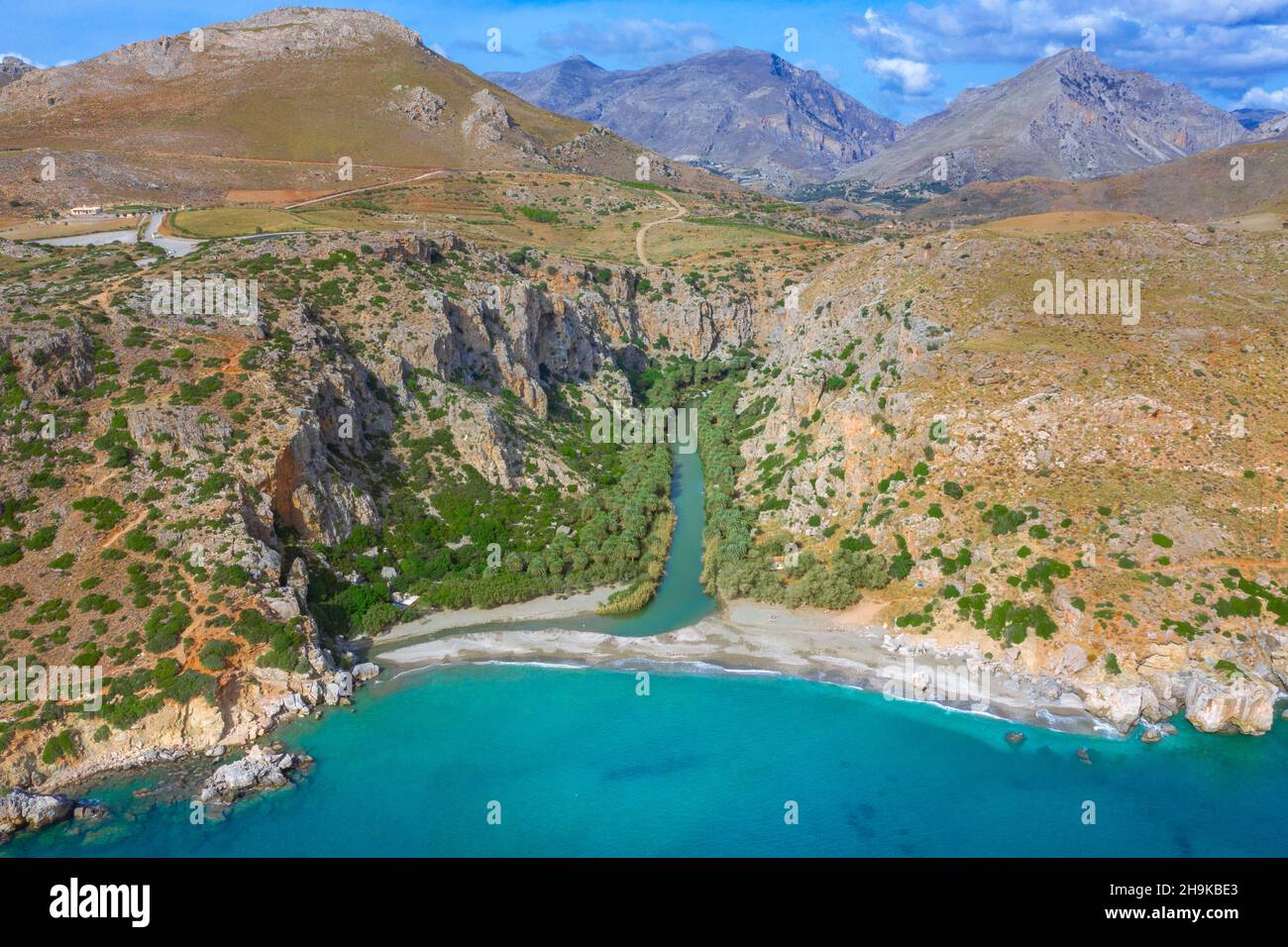 La plage des Palmiers à la mer de Libye, rivière et forêt de palmiers ...