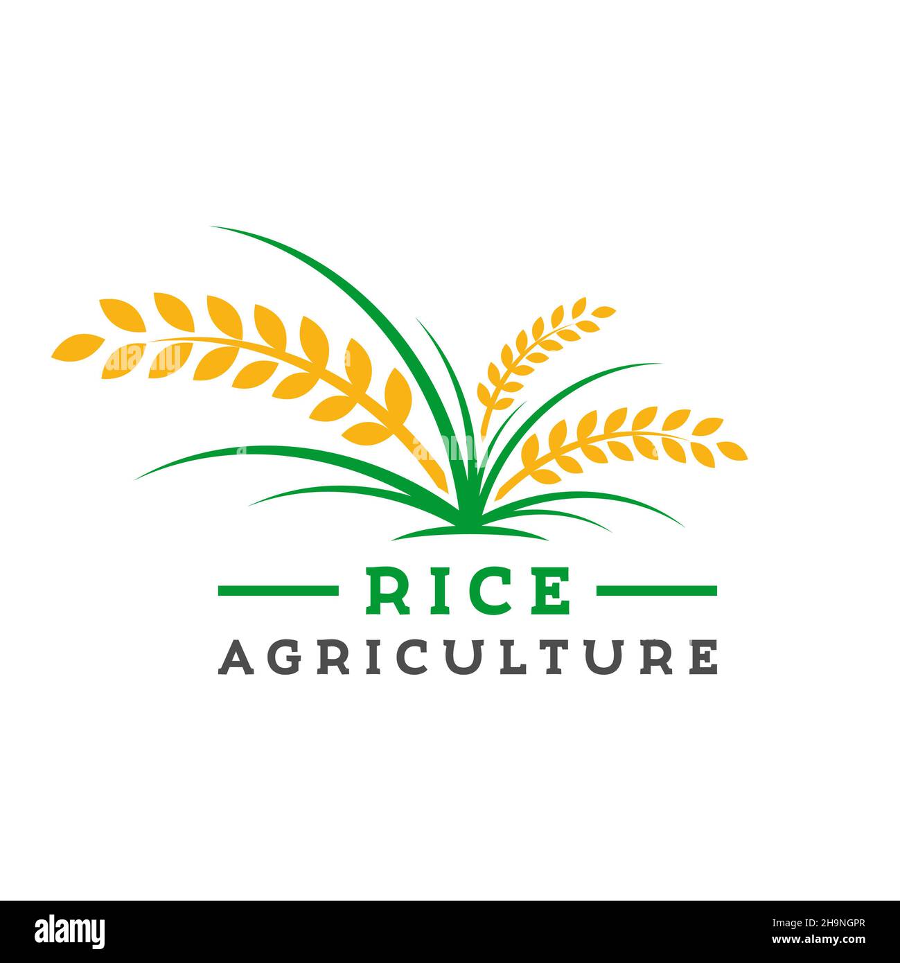 modèle de conception du logo de l'agriculture de riz Photo Stock - Alamy