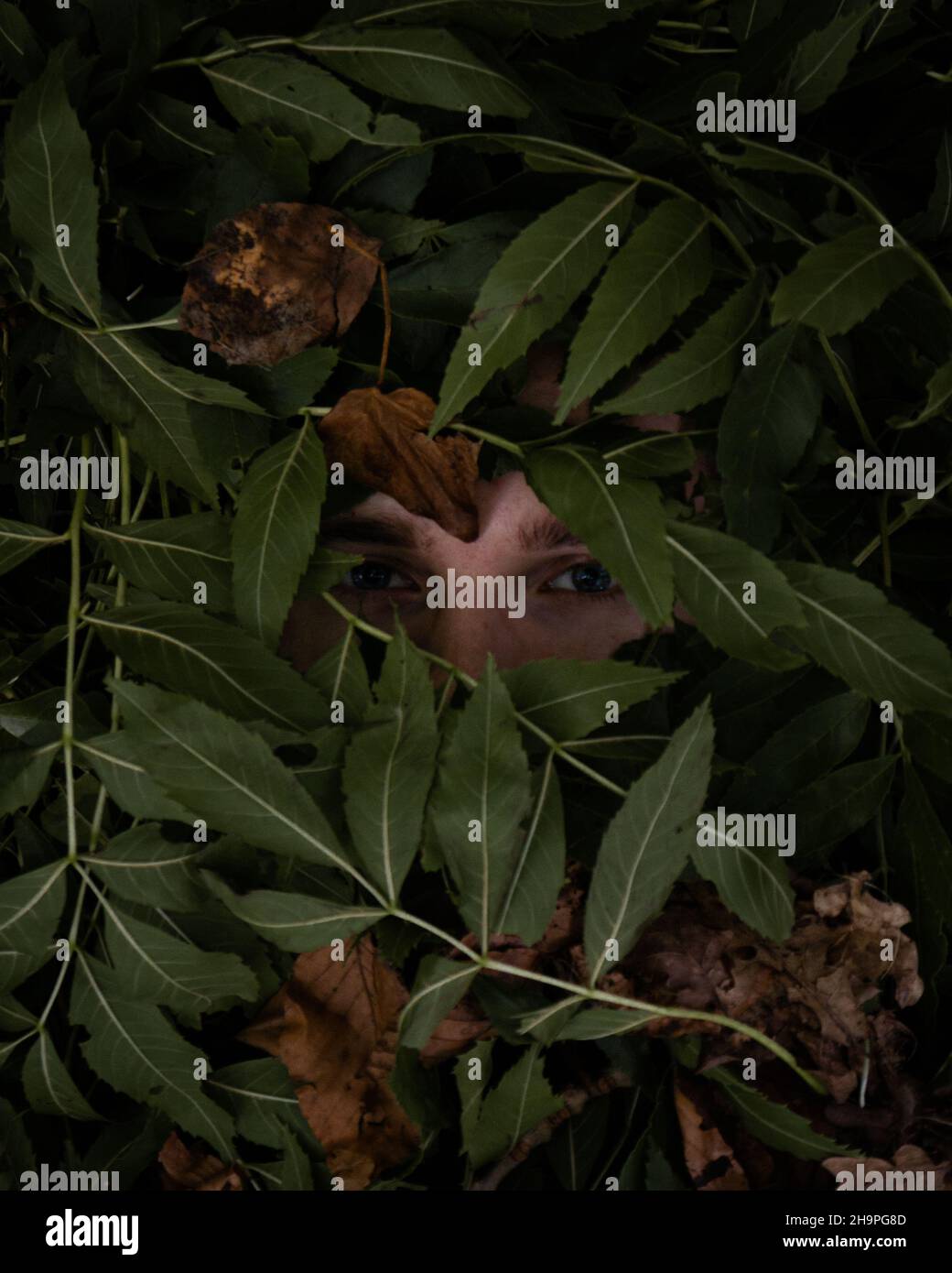 Yeux de terre Banque de photographies et d’images à haute résolution ...