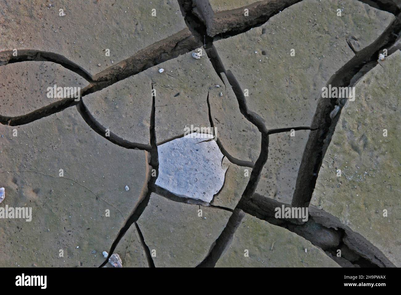 Sol parqué avec une légère tache, sol fissuré, sol arable, sécheresse ...