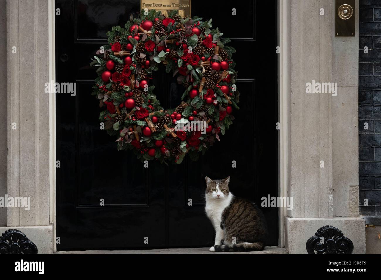 Larry le chat quitte 10 rue downing Banque de photographies et d’images ...
