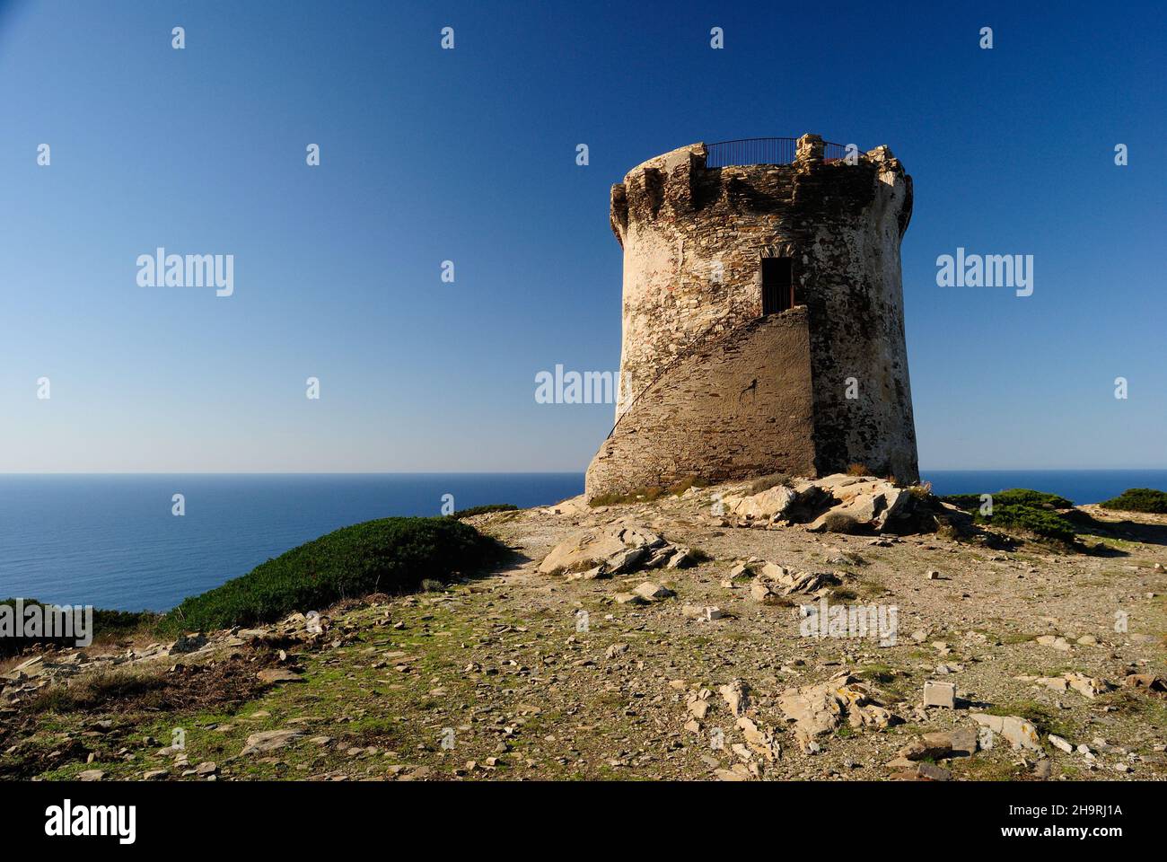 Capo falcone Banque de photographies et d’images à haute résolution - Alamy