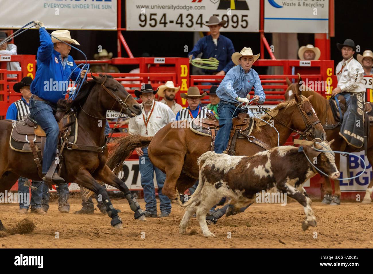 Team roping competition Banque de photographies et d’images à haute ...