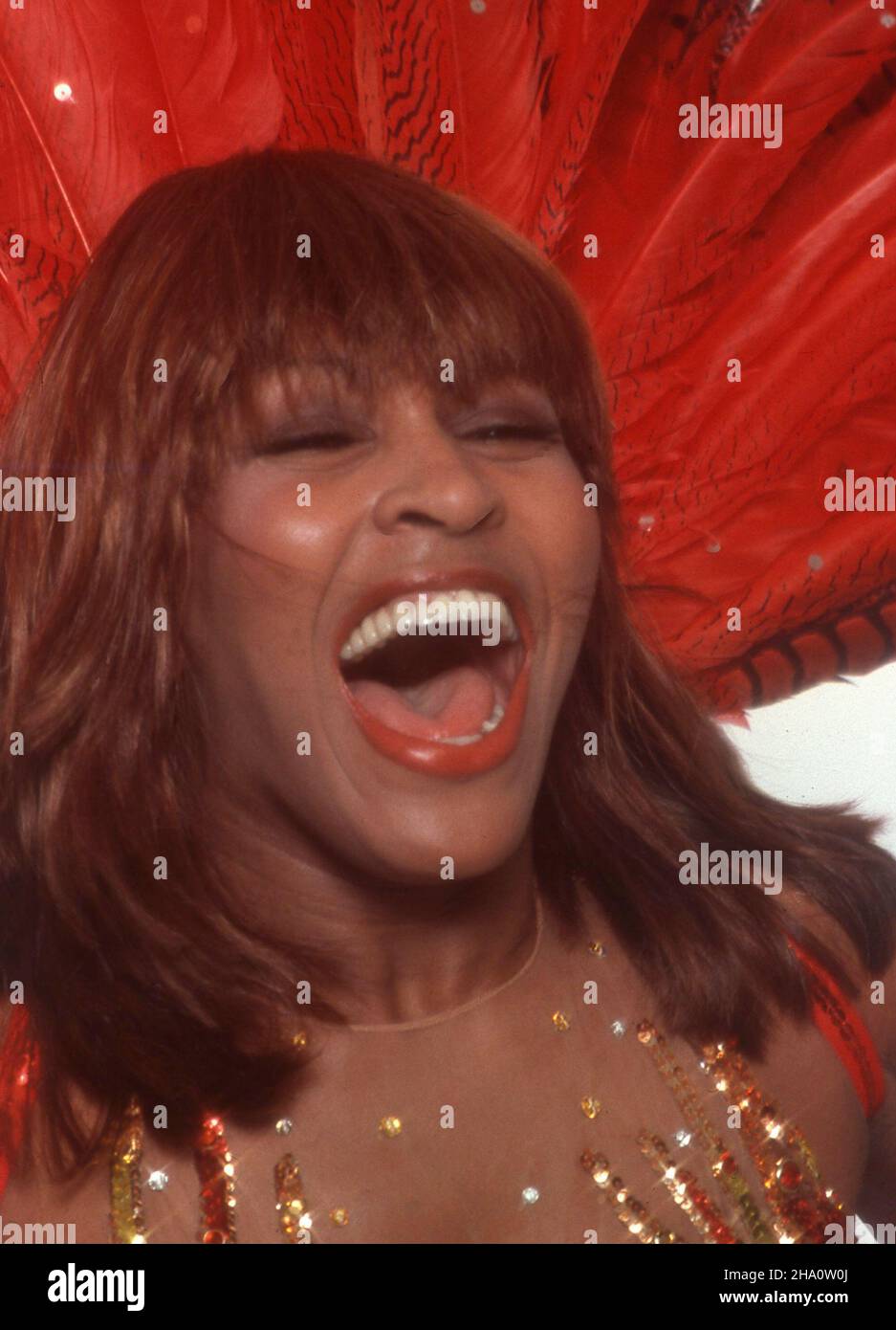 Tina turner portrait Banque de photographies et d’images à haute ...