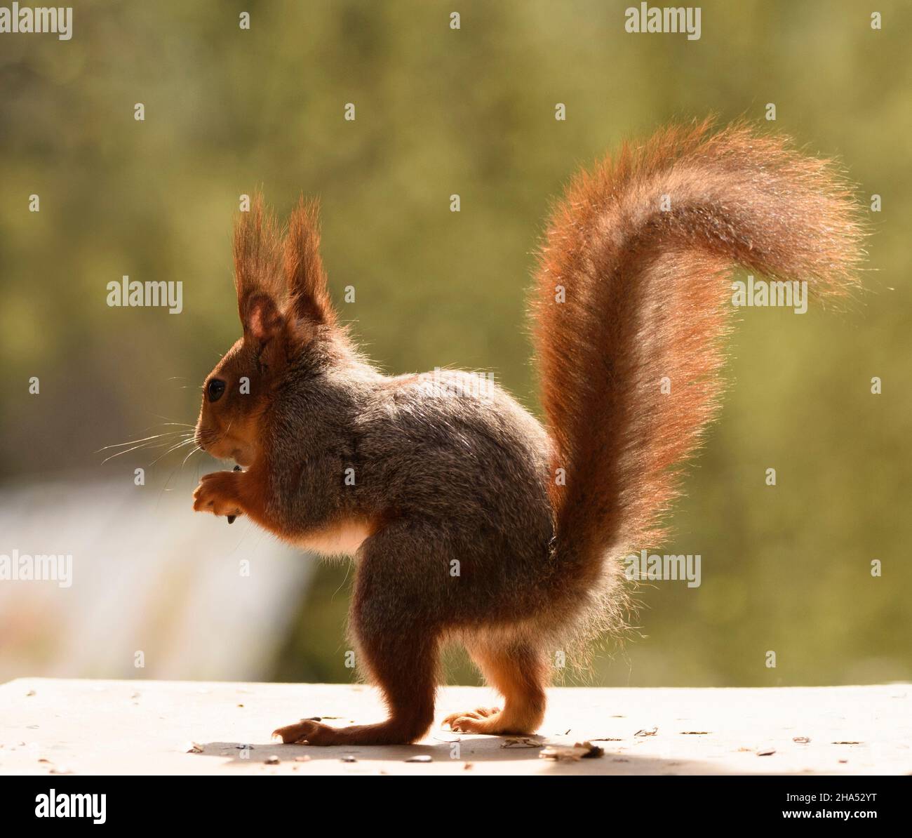 Queue up Banque de photographies et d’images à haute résolution - Alamy