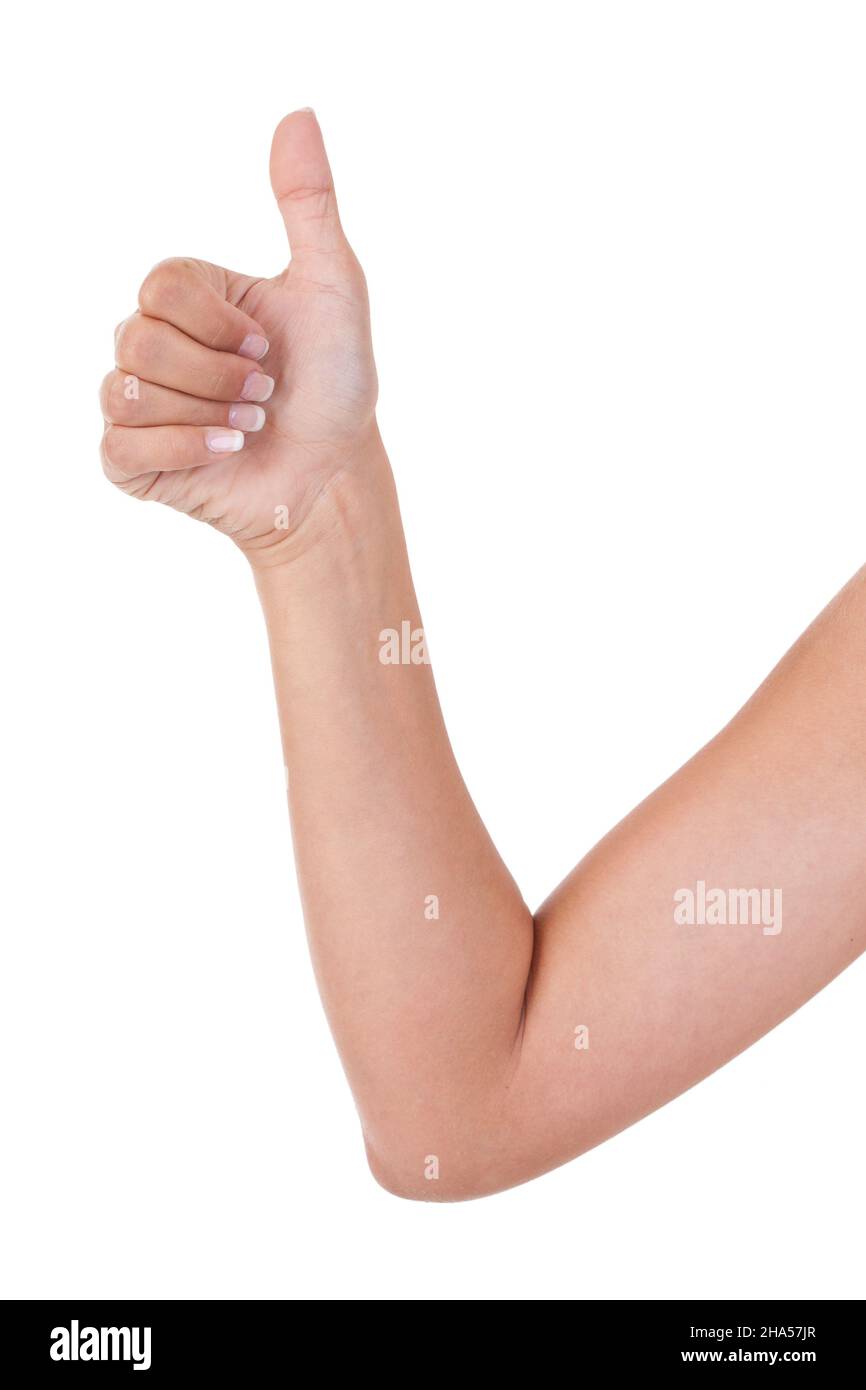 doigt, main, un, nombre, score,affichage, pointage, langage des signes ...