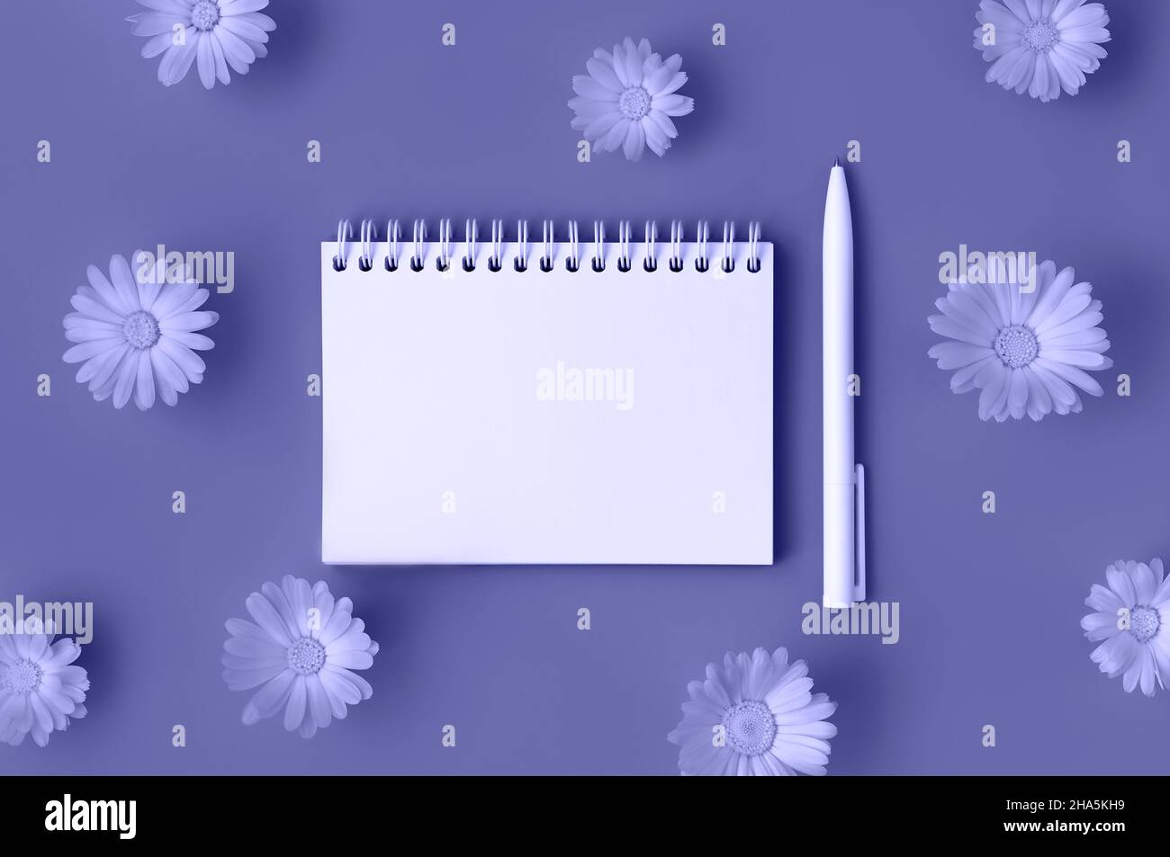 Magnifique arrière-plan avec bloc-notes en spirale vierge ouvert et ...