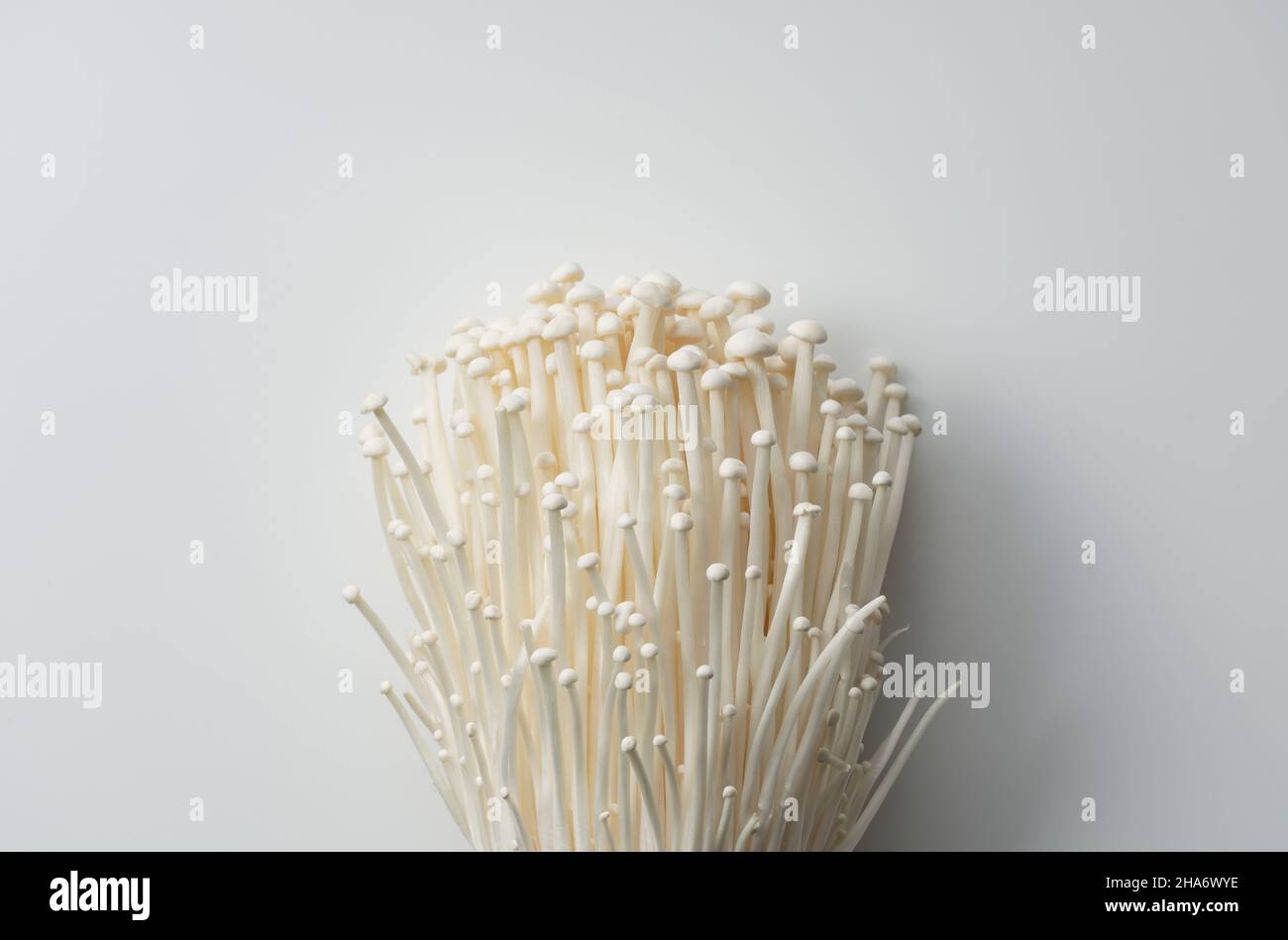 Champignons enoki flammulina Banque de photographies et d’images à ...