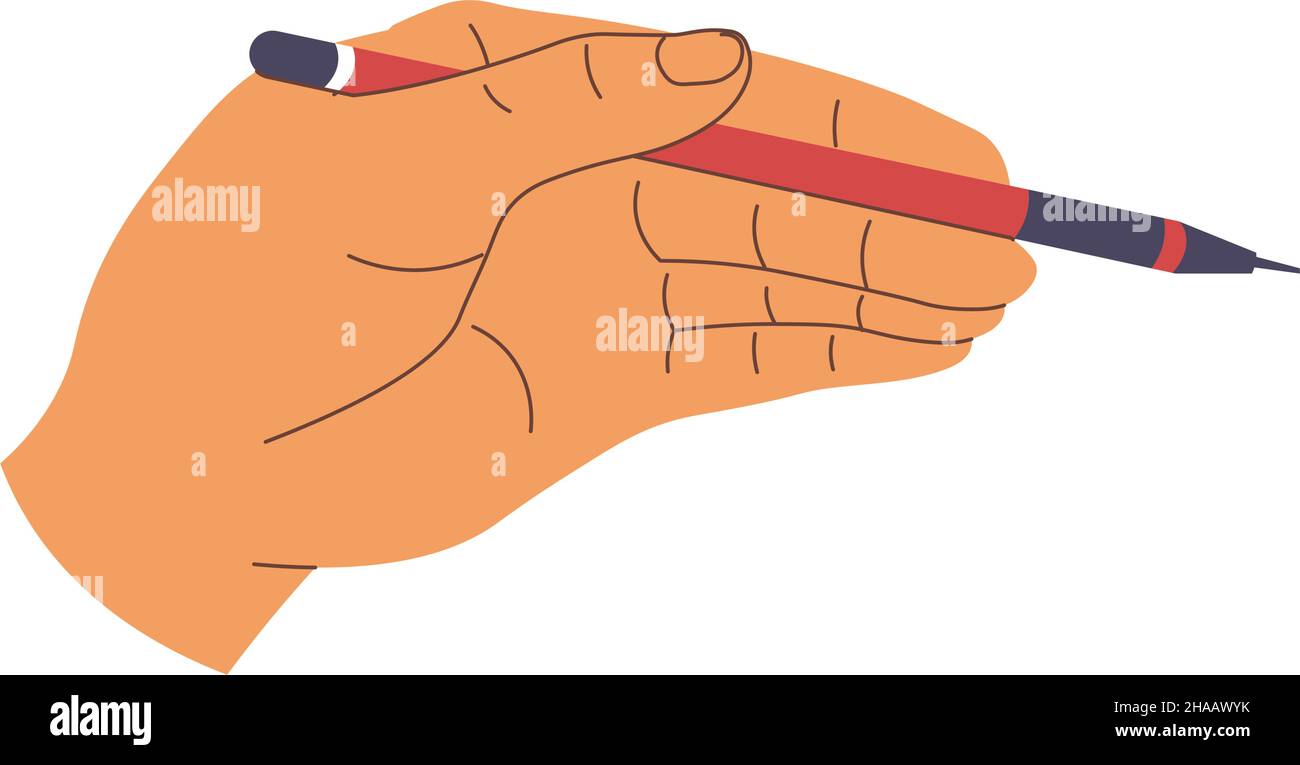 Main avec un crayon, écriture ou dessin avec un stylo Image Vectorielle ...