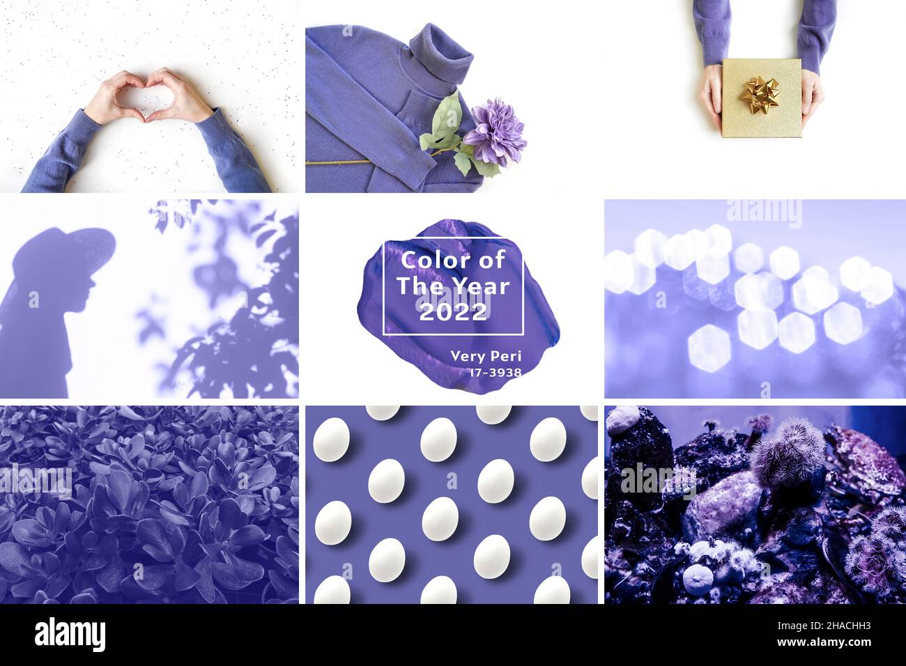 Collage de photos, violet violet tendance couleurs 2022.Différents ...