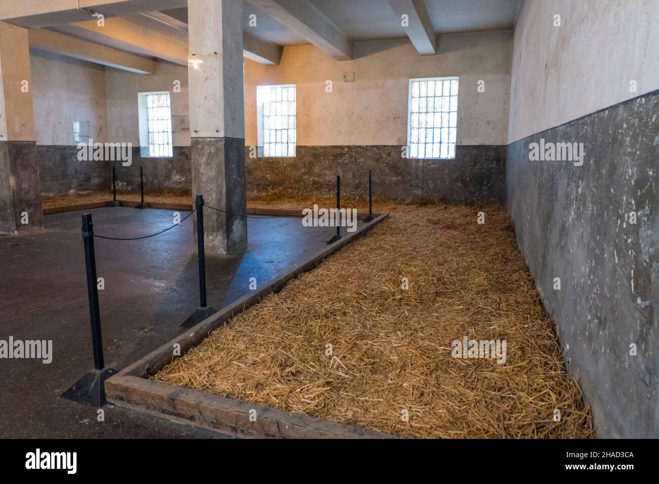 Nis camp de concentration Banque de photographies et d’images à haute ...