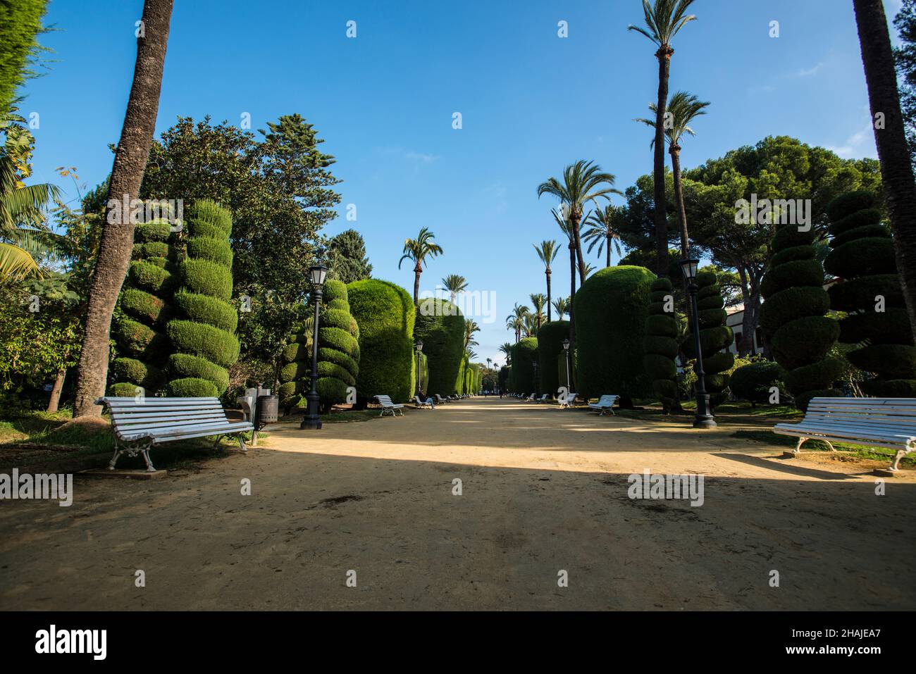 Parque genoves in cadiz Banque de photographies et d’images à haute ...