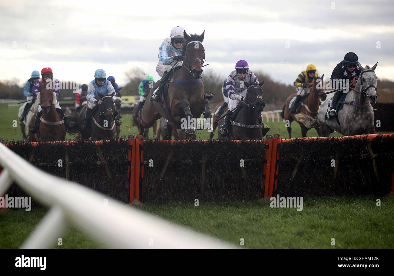Cheval alice monté Banque de photographies et d’images à haute ...