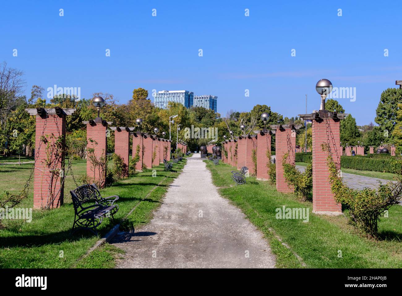 Paysage avec de grands arbres verts et une longue allée de marche dans ...