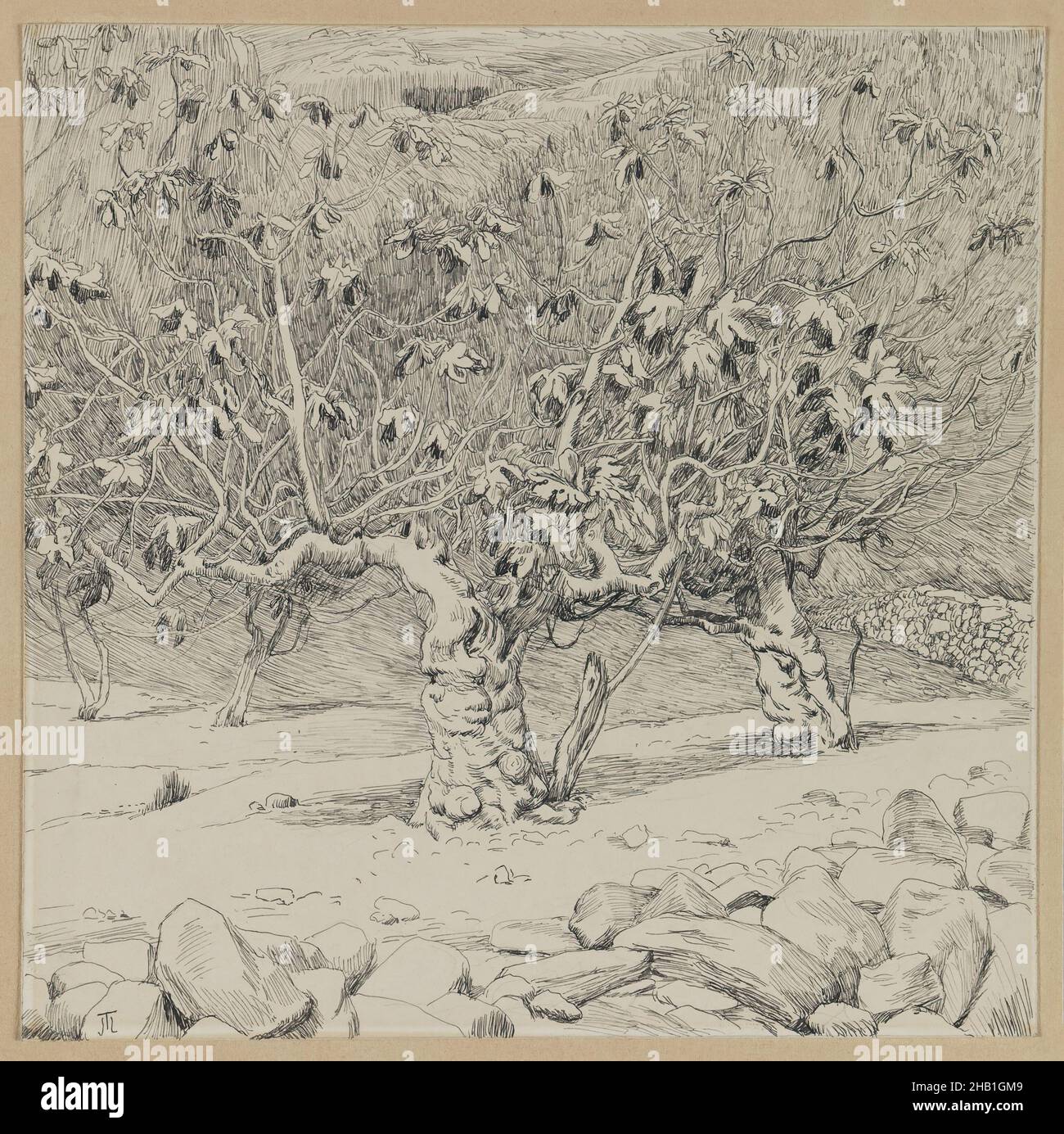 Arbre de vie dessin Banque de photographies et d’images à haute ...