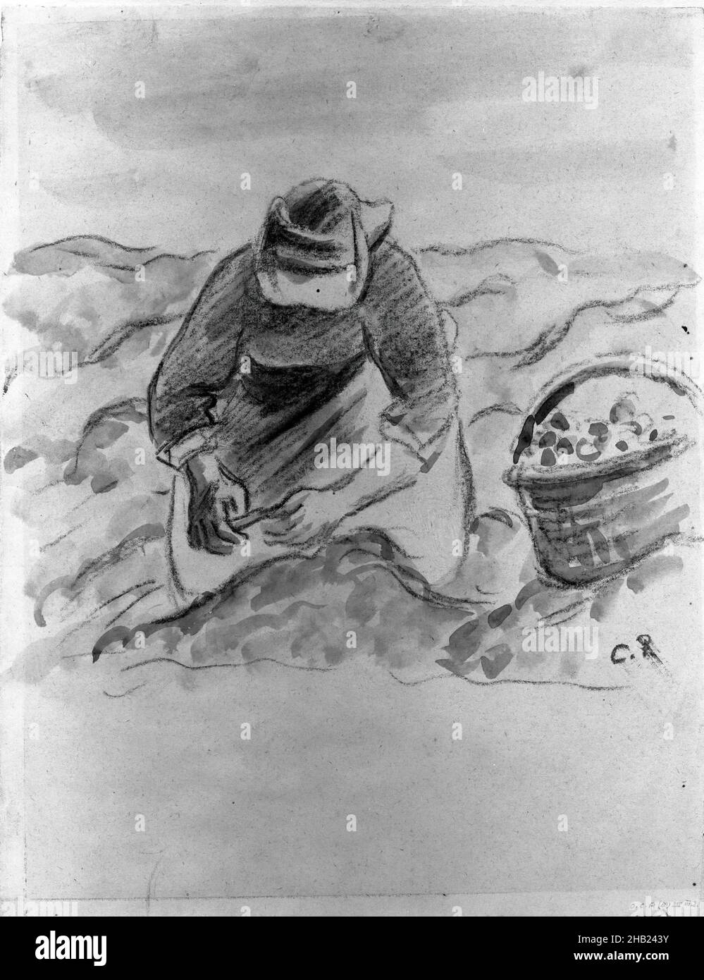 Femme tirant des pommes de terre Banque de photographies et d’images à ...