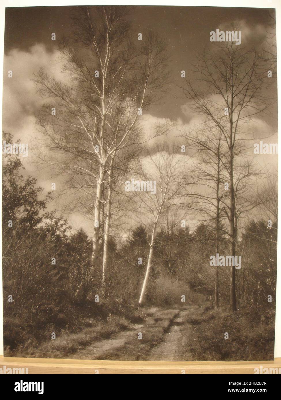 Born 1895 Banque de photographies et d’images à haute résolution - Alamy