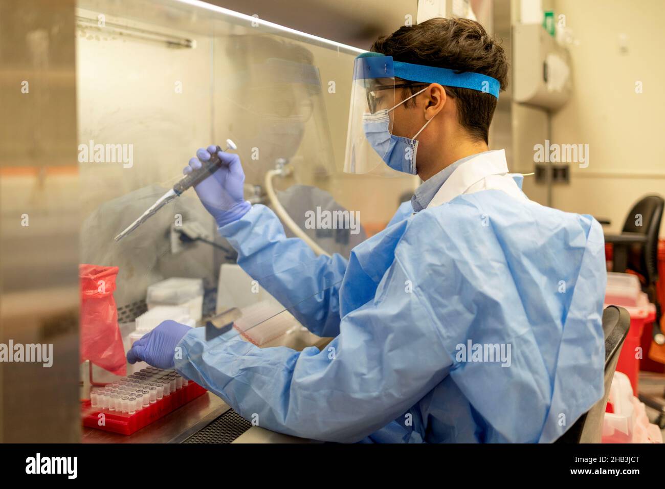 Extraction d'arn Banque de photographies et d’images à haute résolution - Alamy