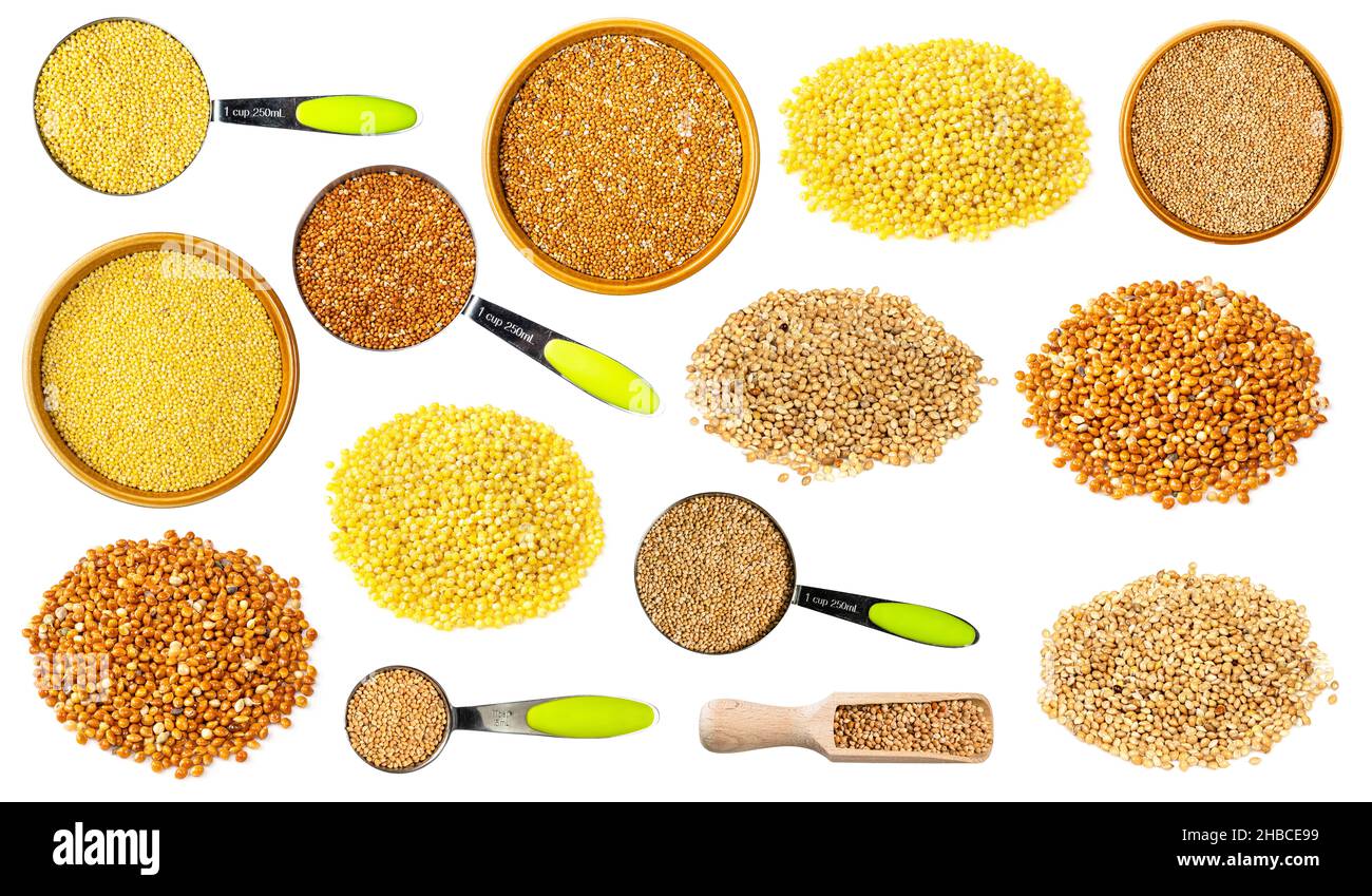 Panicum miliaceum Banque d'images détourées - Alamy