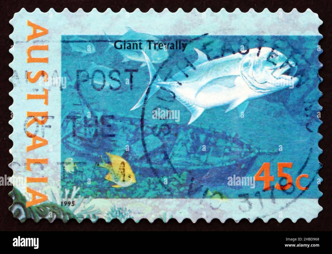 Giant trevally fish caranx ignobilis Banque de photographies et d ...