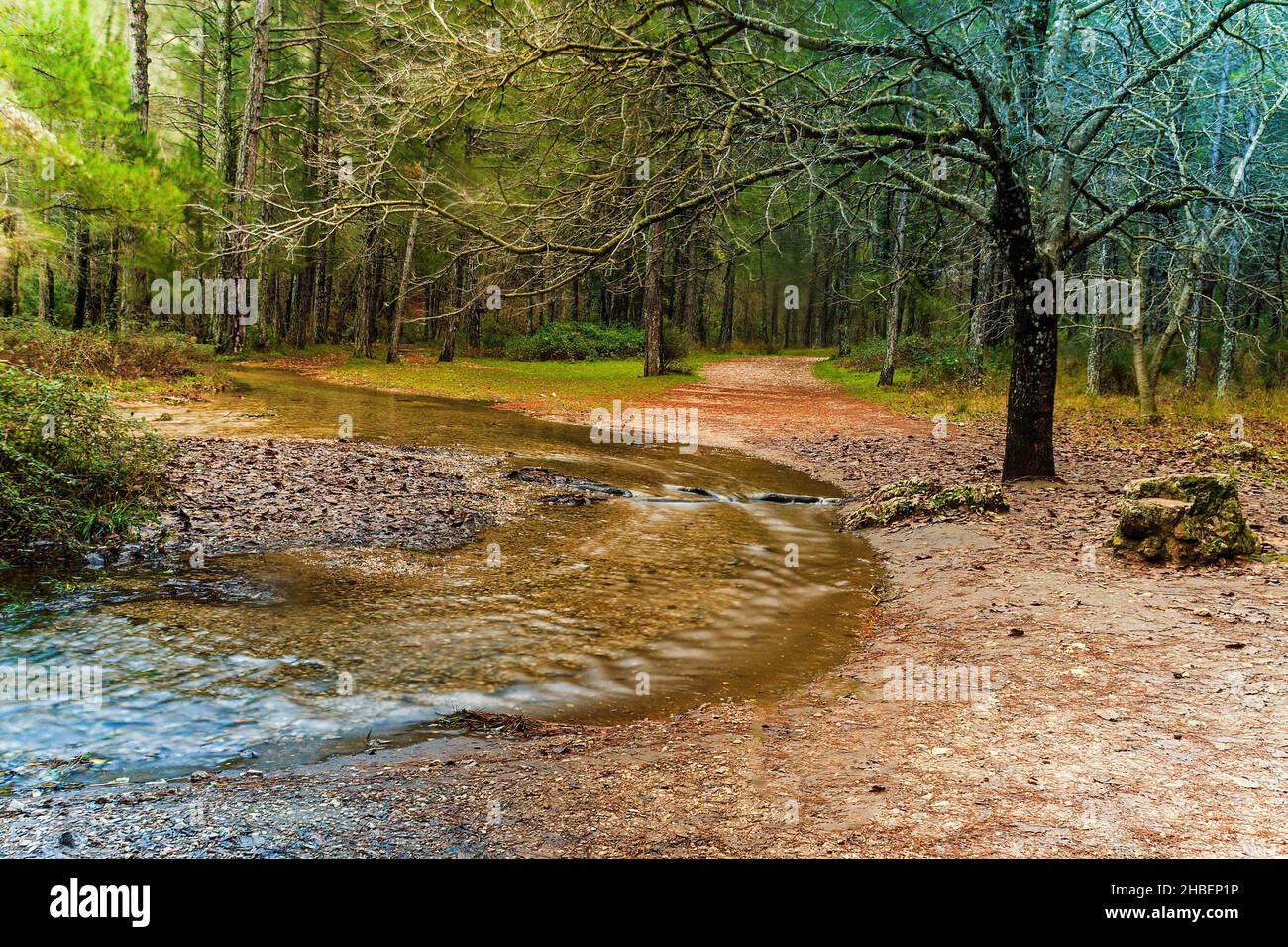 Source of mundo river Banque de photographies et d’images à haute ...
