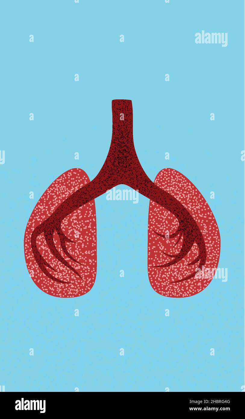 Organe interne des poumons humains Banque d'images vectorielles - Alamy