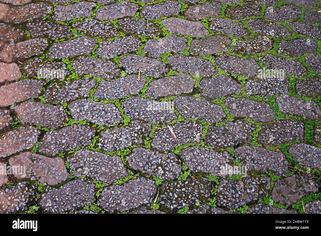 Ciment et brique Banque de photographies et d’images à haute résolution ...