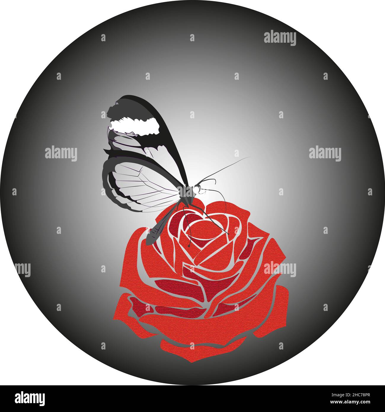 Rose avec papillon Banque de photographies et d’images à haute ...