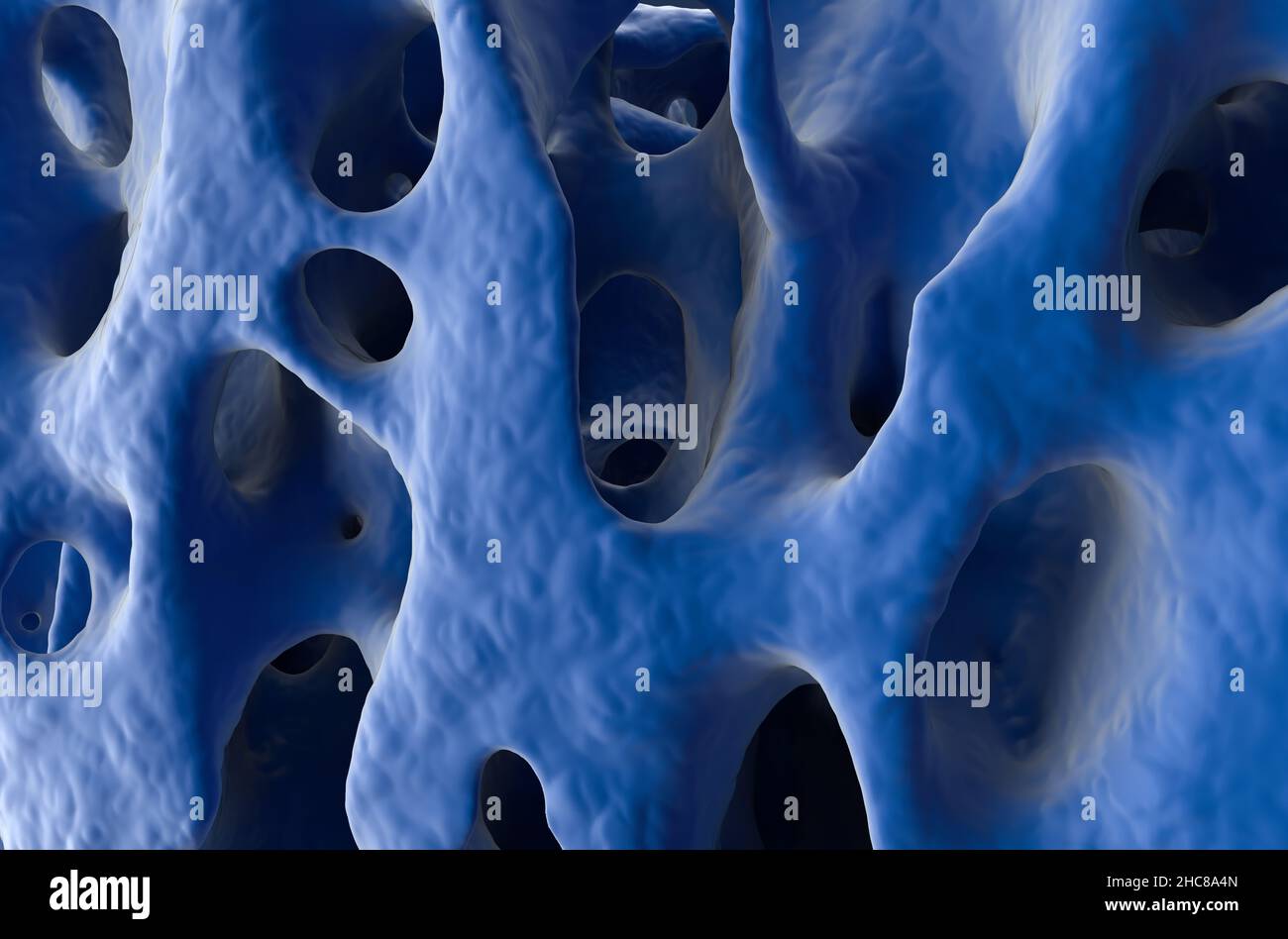 Structure osseuse normale (cortex osseux sain) - illustration de la vue ...