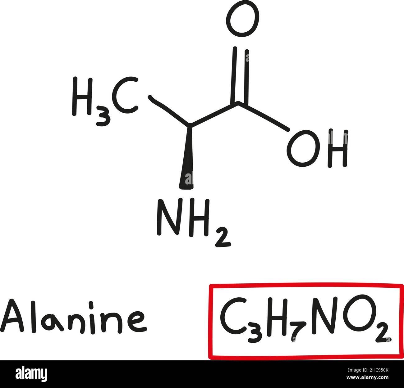 Formule moléculaire chimique dessinée à la main d'acide aminé Alanine ...