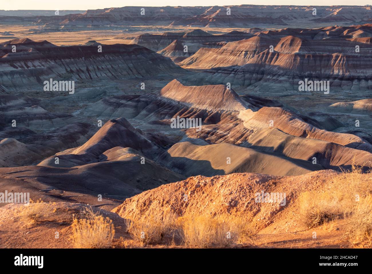 Little painted desert Banque de photographies et d’images à haute ...