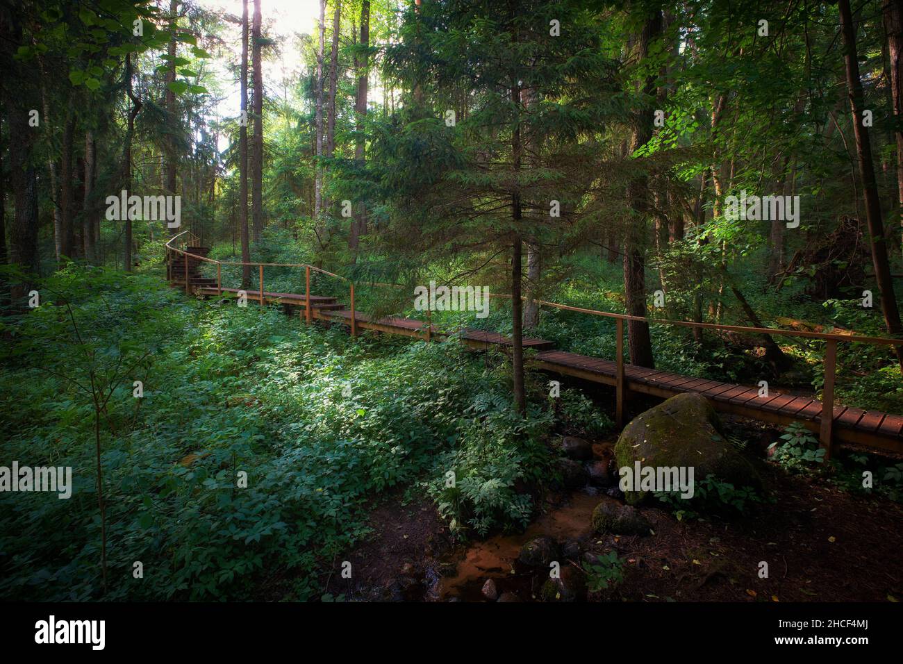 Pont en bois suspendu Banque de photographies et d’images à haute ...