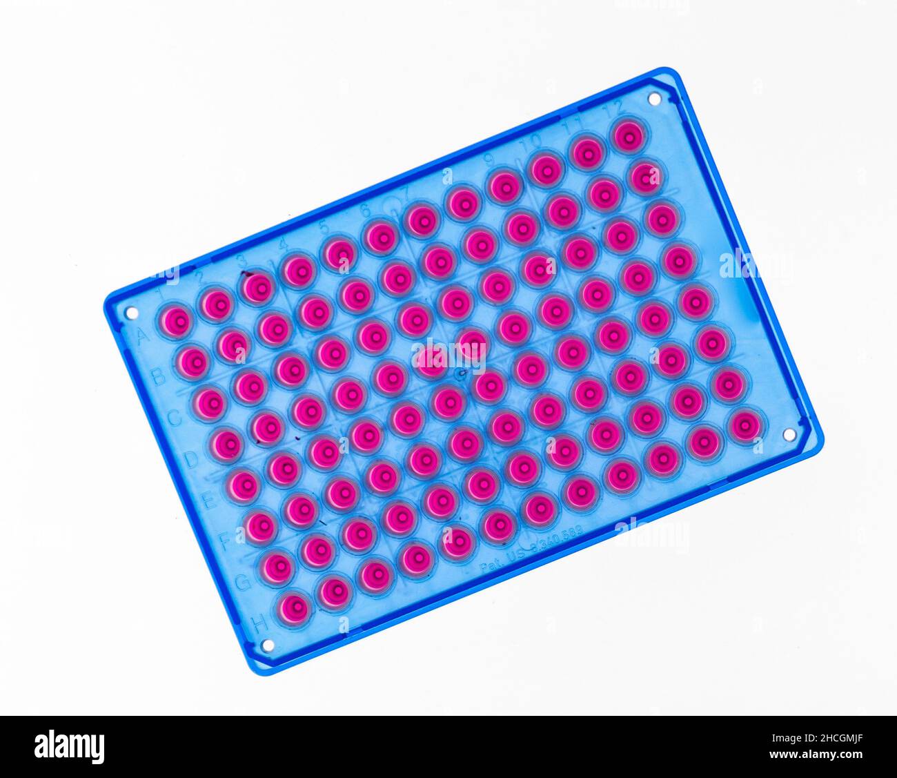 Une microplaque, une plaque de microtitration ou une plaque de micro ...