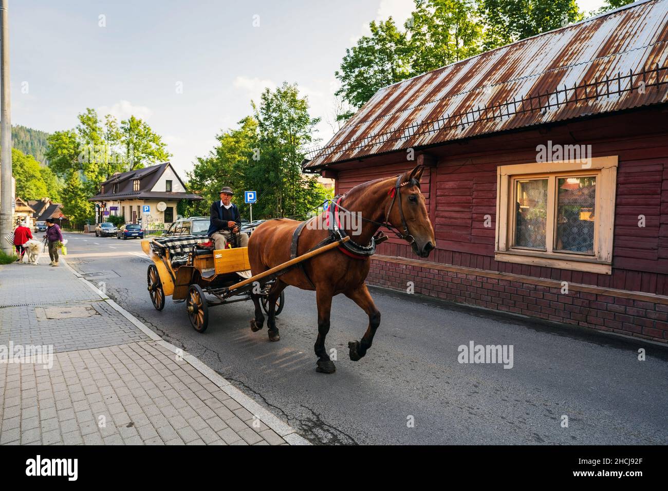 Horse carriage zakopane poland Banque de photographies et d’images à ...