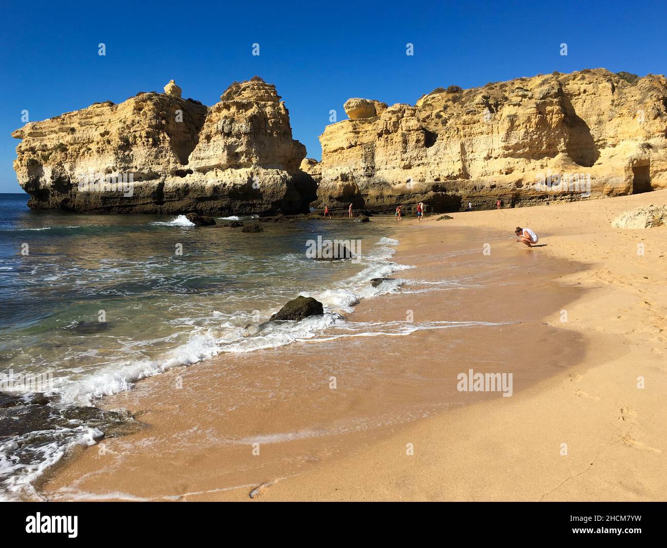 Sea shells in portugal Banque de photographies et d’images à haute ...
