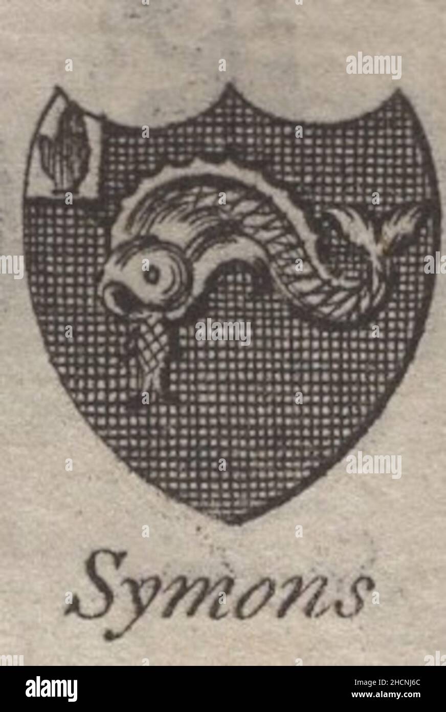 Symons nobles Banque de photographies et d’images à haute résolution ...