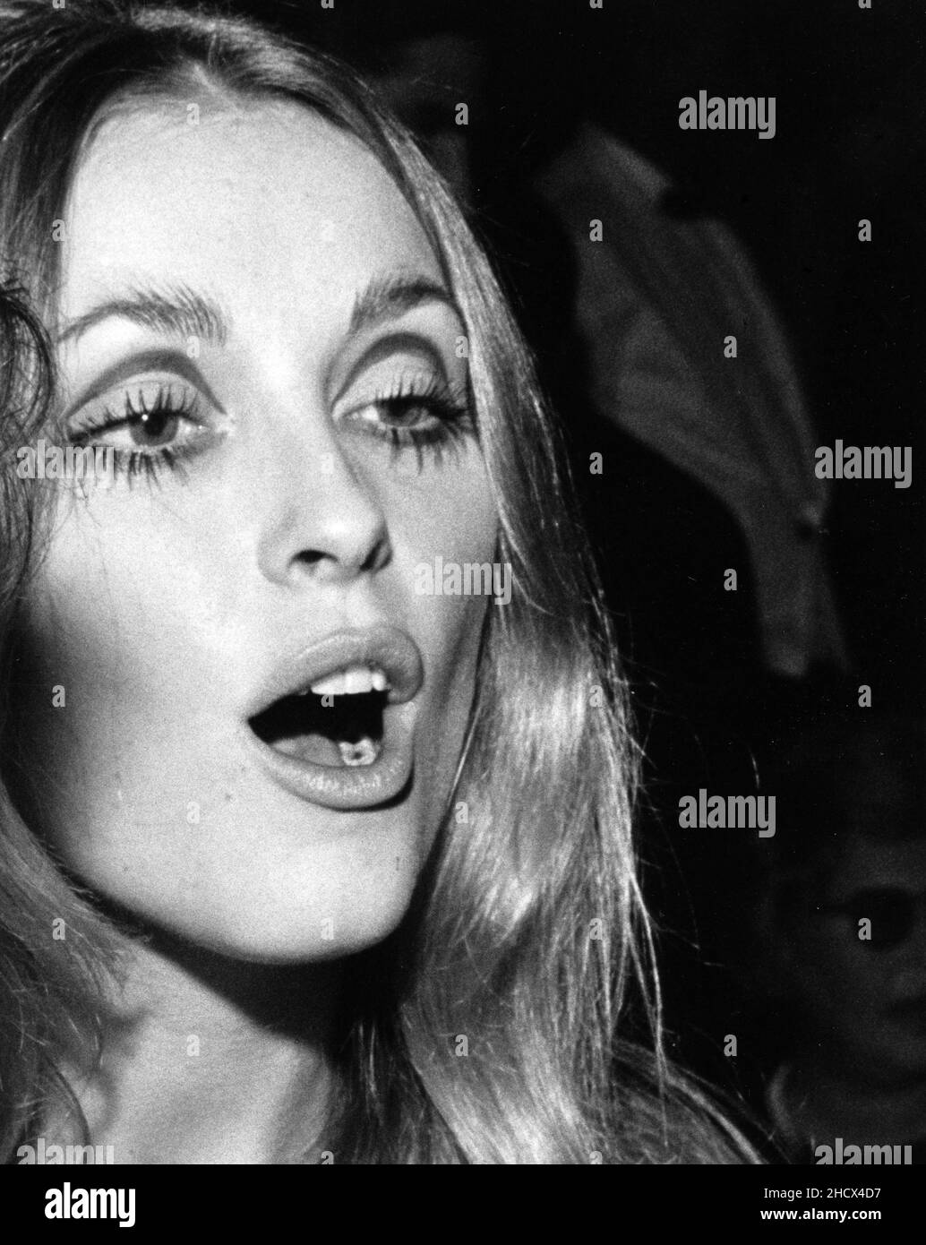 Sharon tate Banque de photographies et d’images à haute résolution - Alamy