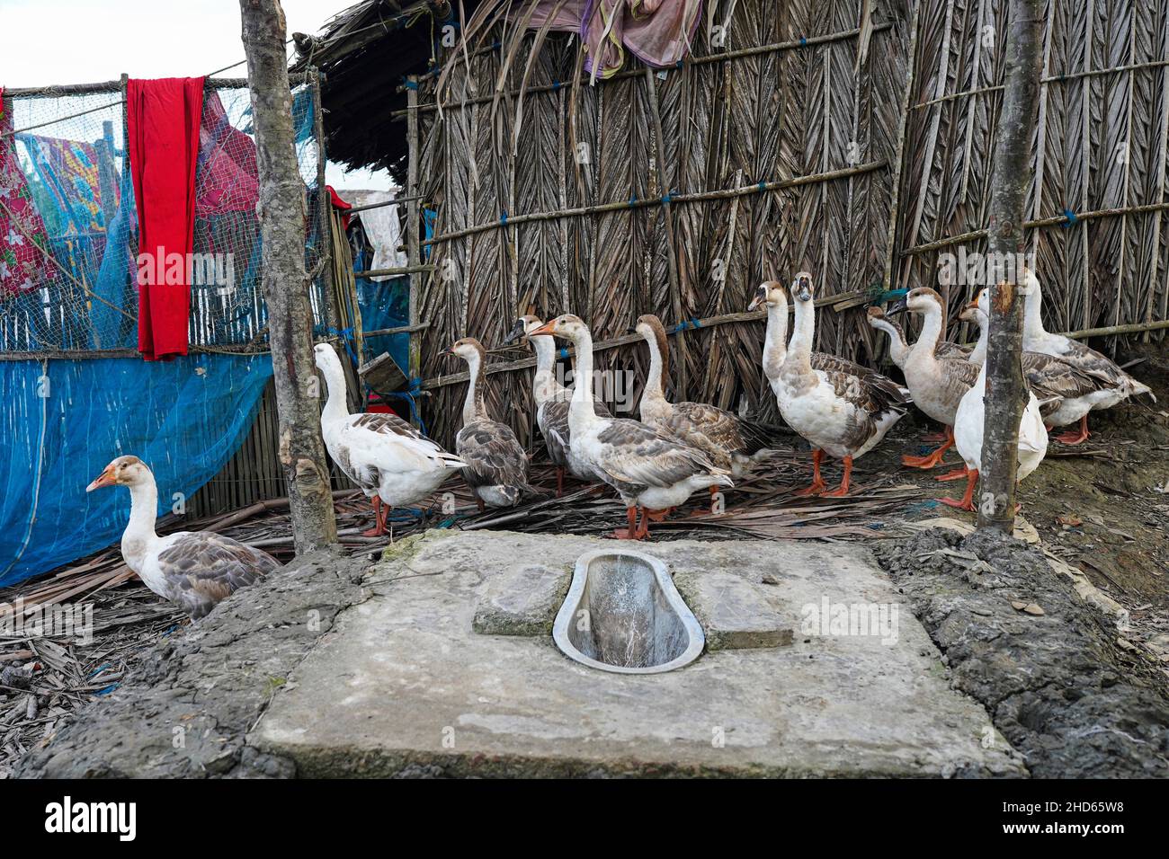 Mongla, Bangladesh.11th septembre 2021.Une toilette est reconstruite ...