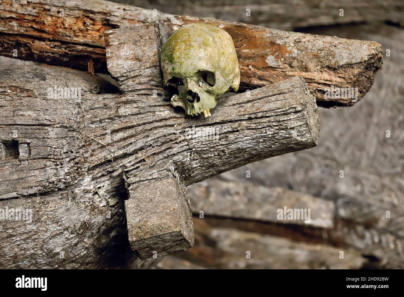 Vieux cercueils (erong) et crâne dans la grotte funéraire de 700 ans à ...