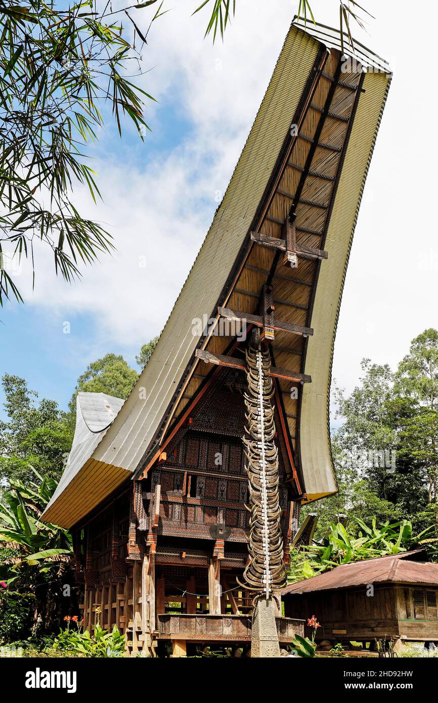 Maison de tongkonan traditionnelle sur le toit de selle et cornes de ...