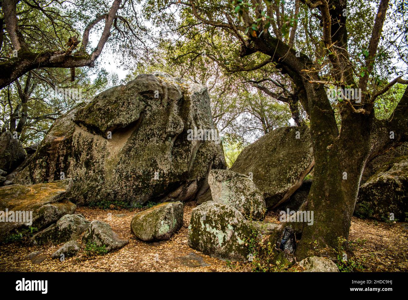 Carrière pour la production des statues de menhirs, site préhistorique ...