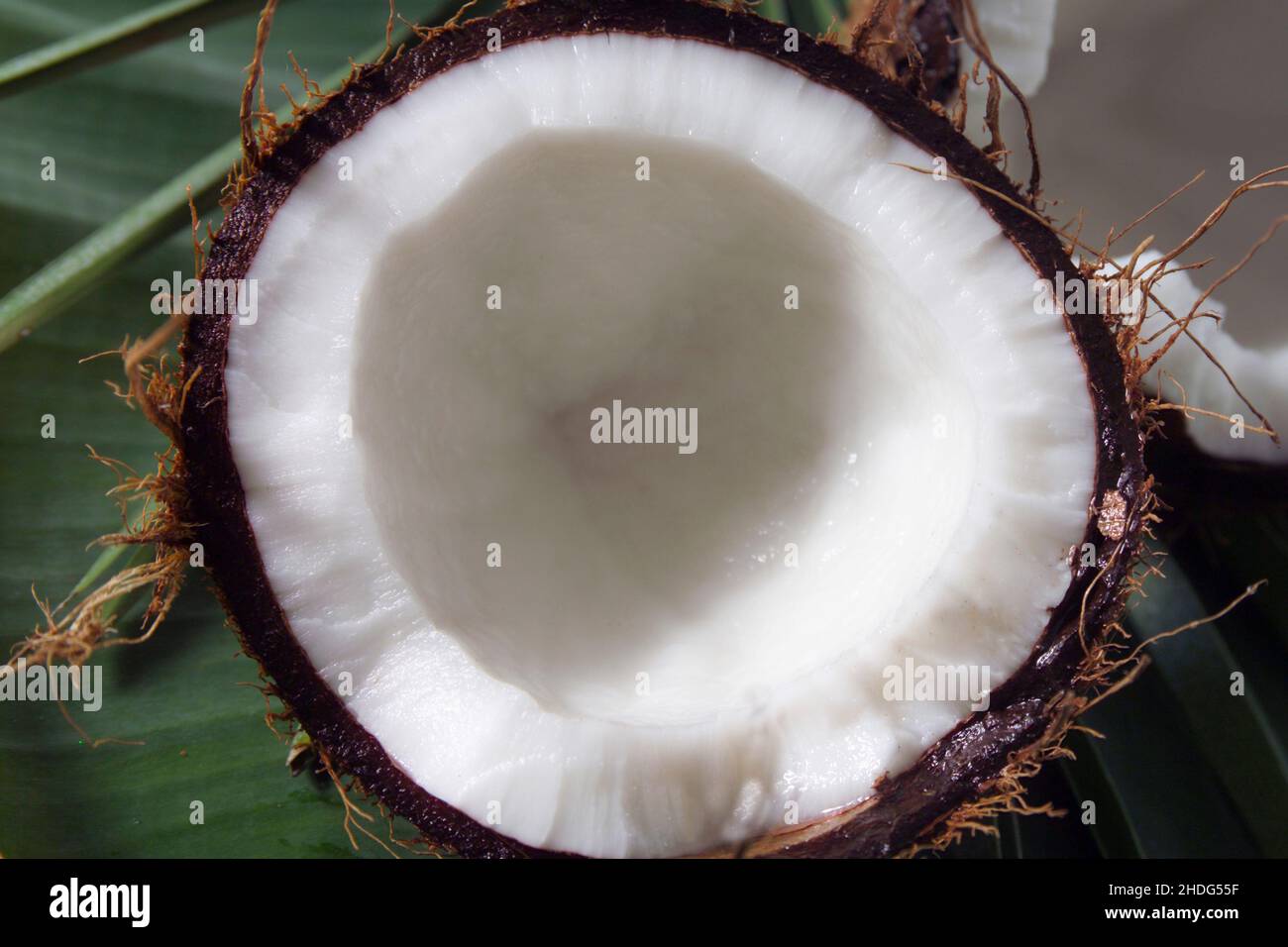 Coconut marks Banque de photographies et d’images à haute résolution ...