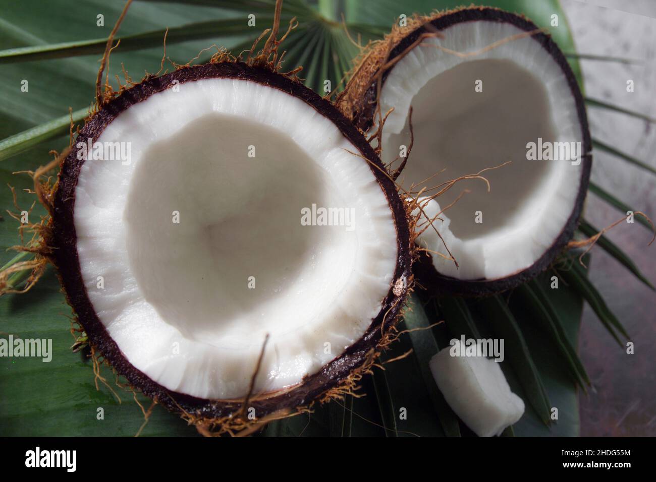 Coconut marks Banque de photographies et d’images à haute résolution ...