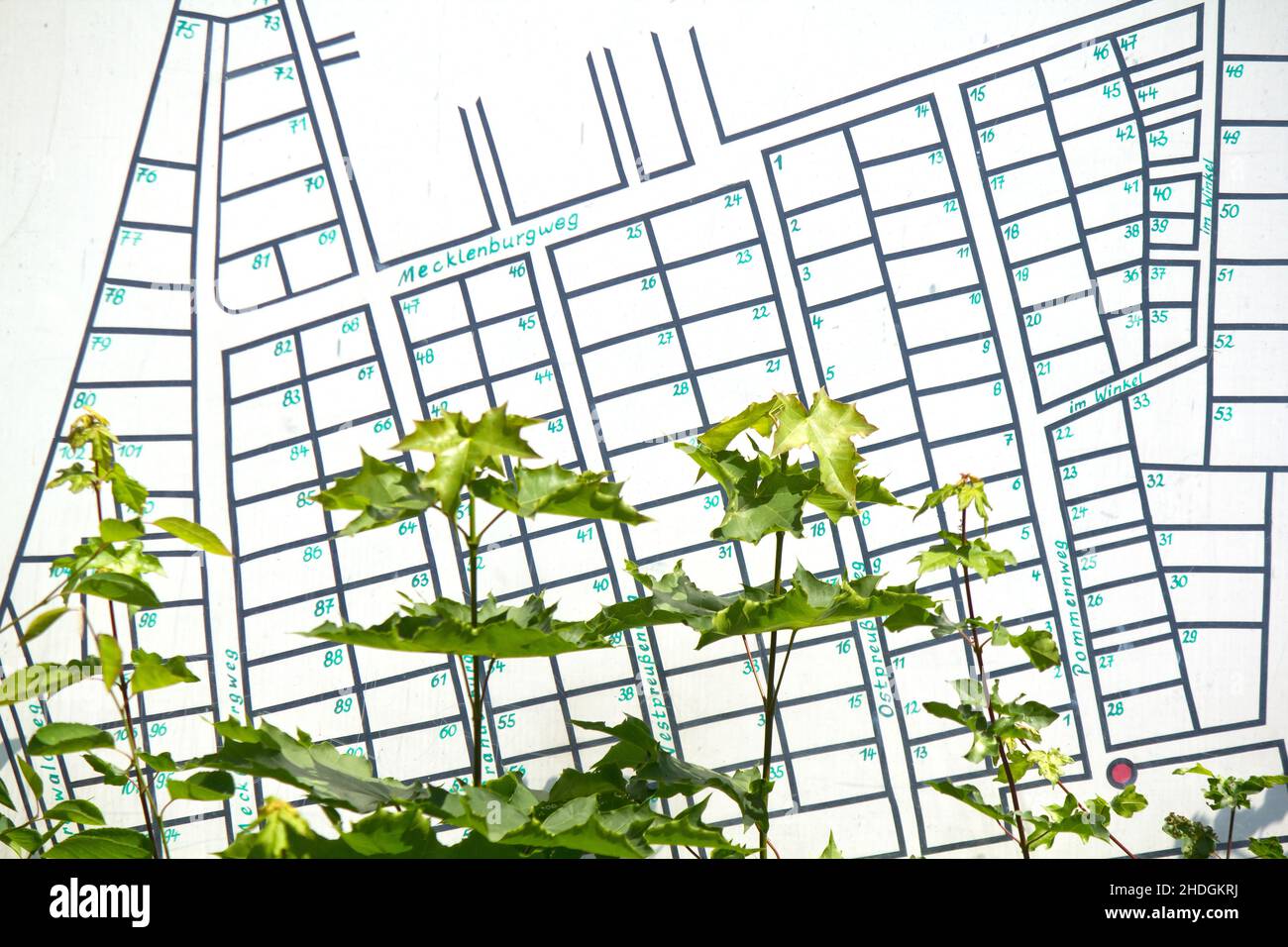 Mapas de nombres Banque de photographies et d’images à haute résolution ...