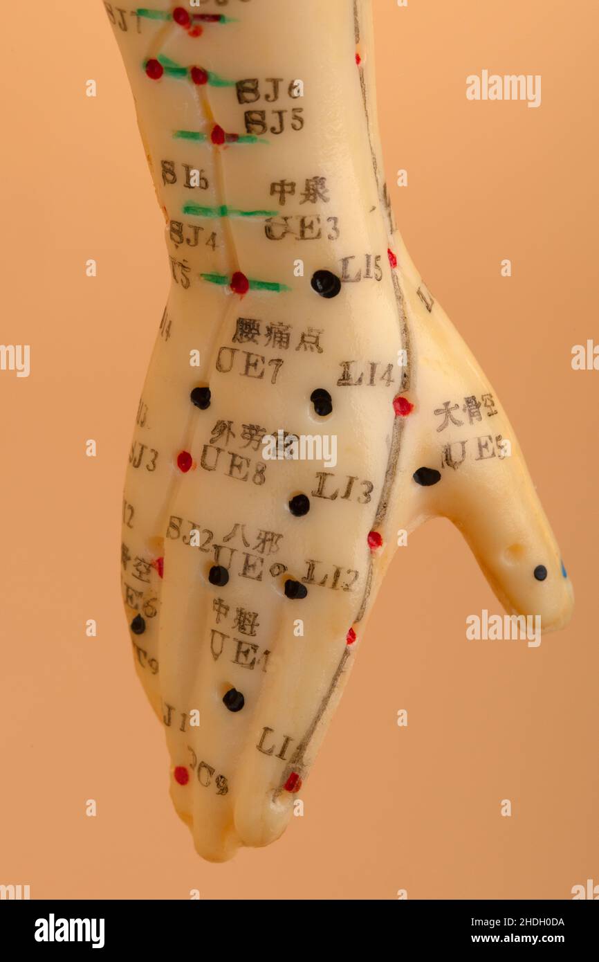 Acupuncture meridians Banque de photographies et d’images à haute ...