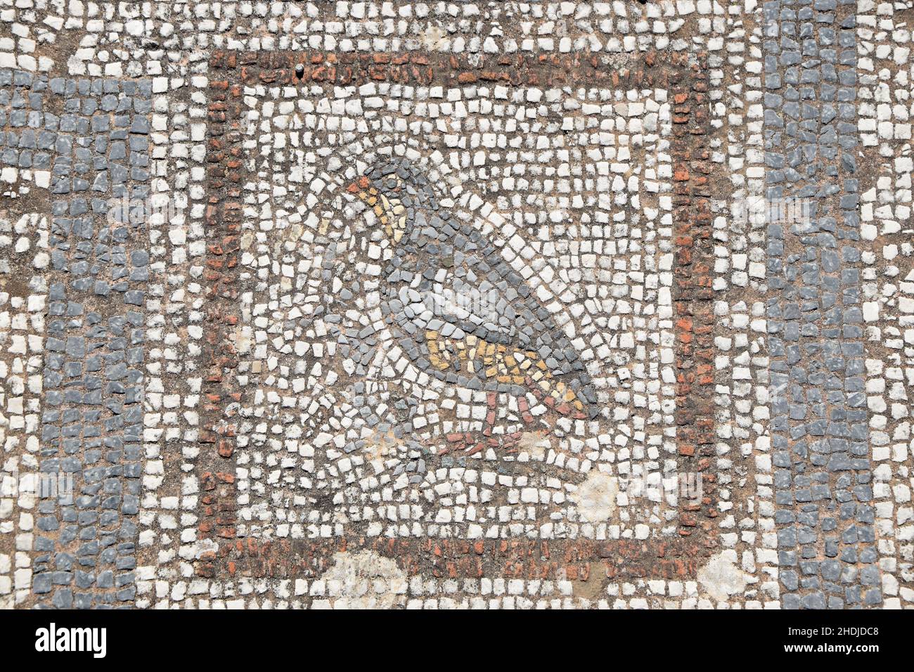 Grèce antique mosaique Banque de photographies et d’images à haute ...